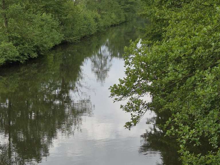 Alte Eiche: Wanderungen und Rundwege | komoot