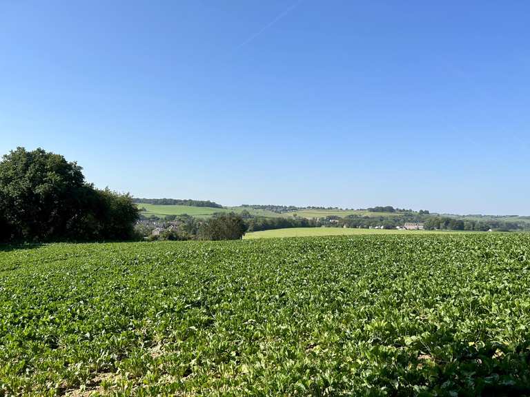 Wayside cross – Hikes & How to Get There | Komoot