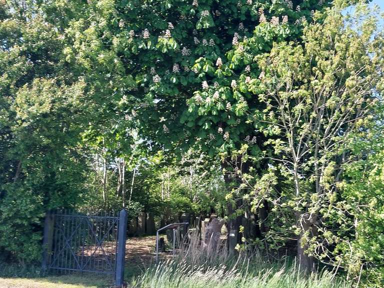 Jewish Cemetery Ovelgönne Memorial Routes for Walking and Hiking | Komoot