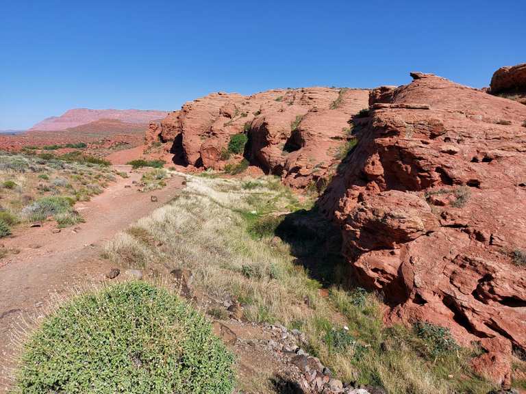 Chuckwalla Trail - Routes for Walking and Hiking | Komoot