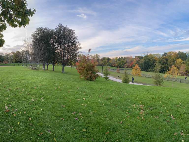 Cedarvale Ravine Trail — Toronto | wandeling | Komoot