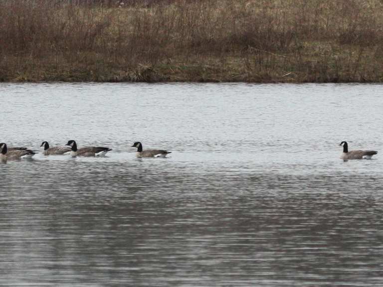 Darby Bend Lakes Road Cycle Routes and Map | Komoot