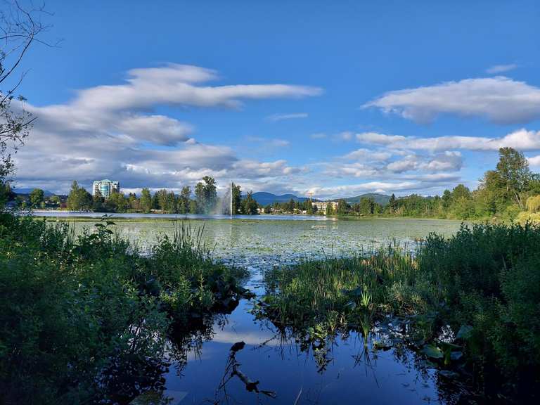 Sentier du parc Mill Lake | randonnée pédestre | Komoot