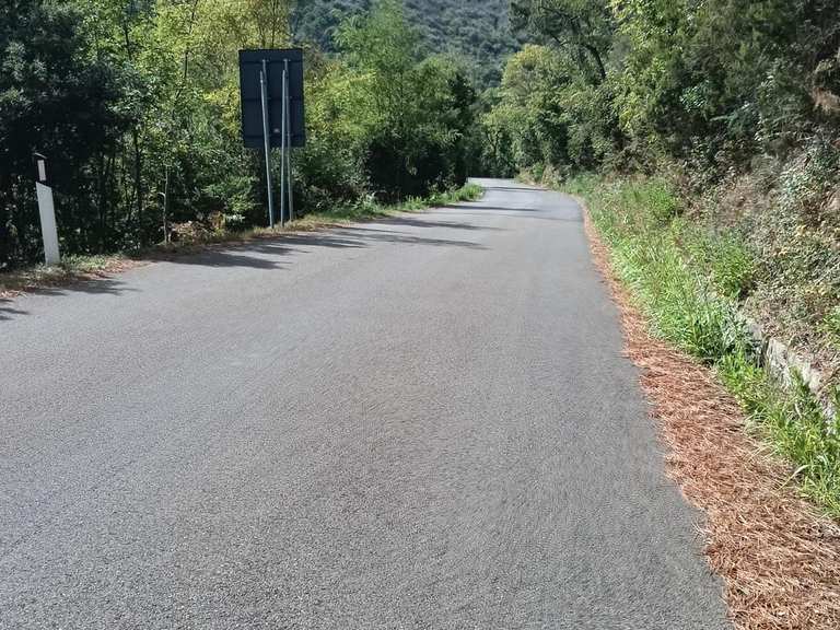 Climb to Serra from Primo Maggio to Cristalli (Buti side) - Road Cycle ...