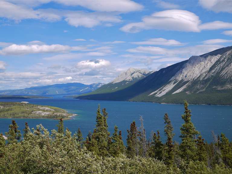 Paddy Peak Trail — Conrad, Yukon | Wanderung | Komoot