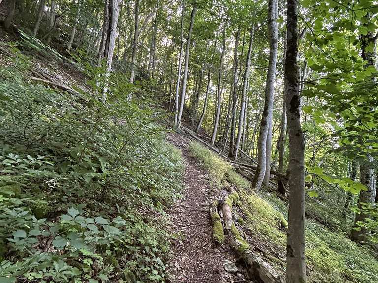 White Cliffs Trail Mountain Bike Trails & Tracks | Komoot