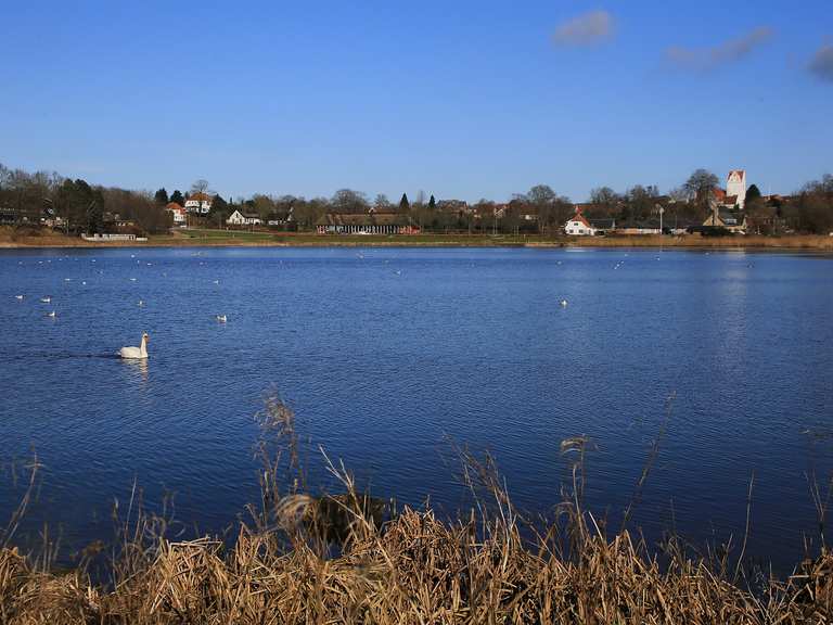 Forest and Lake Loop between Ringe and Espe | hike | Komoot