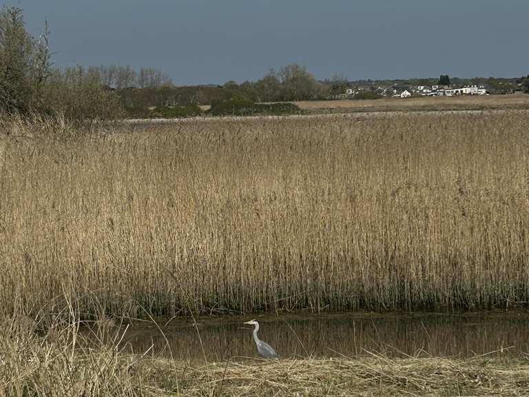 Bird Hide Over the Marshes Routes for Walking and Hiking | Komoot