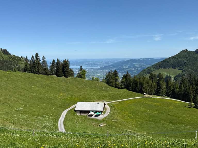 Trasa Widok na Bocksberg–Alpe Schöner Mann (początek: Tiergarten ...