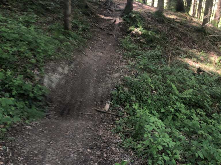 Chälen-Trail: Mountainbike-Touren | komoot