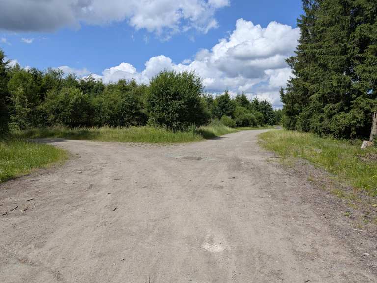 Ferndorf Spring Routes for Walking and Hiking | Komoot