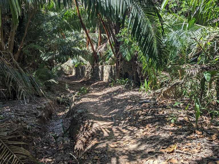 Playa Malpaso ida y vuelta desde Sayulita — Nayarit | Caminata | Komoot
