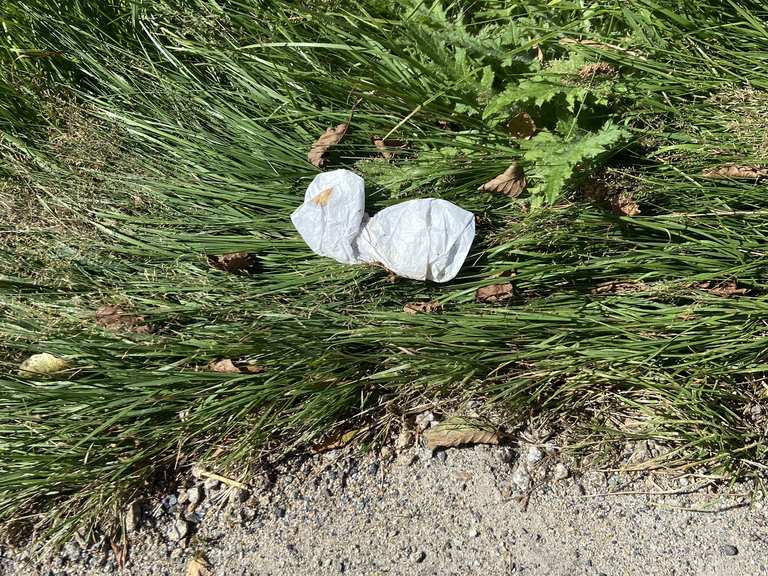 Litter Along the Lakeside Trail Routes for Walking and Hiking | Komoot