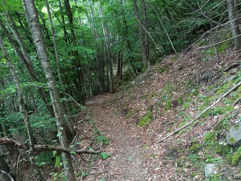 Wegkreuzung: Le Polle: Touren und Karten | komoot