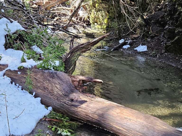 Torrente Goye : percorsi escursionistici e trekking | Komoot