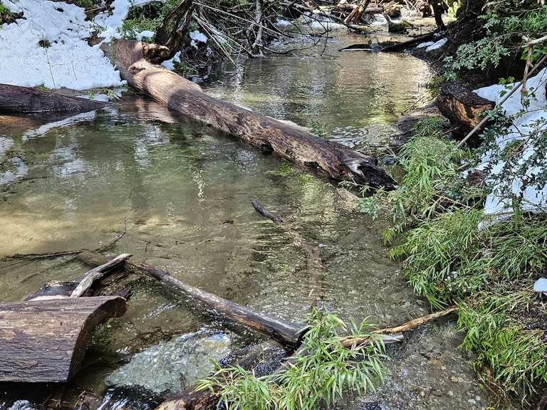 Torrente Goye : percorsi escursionistici e trekking | Komoot