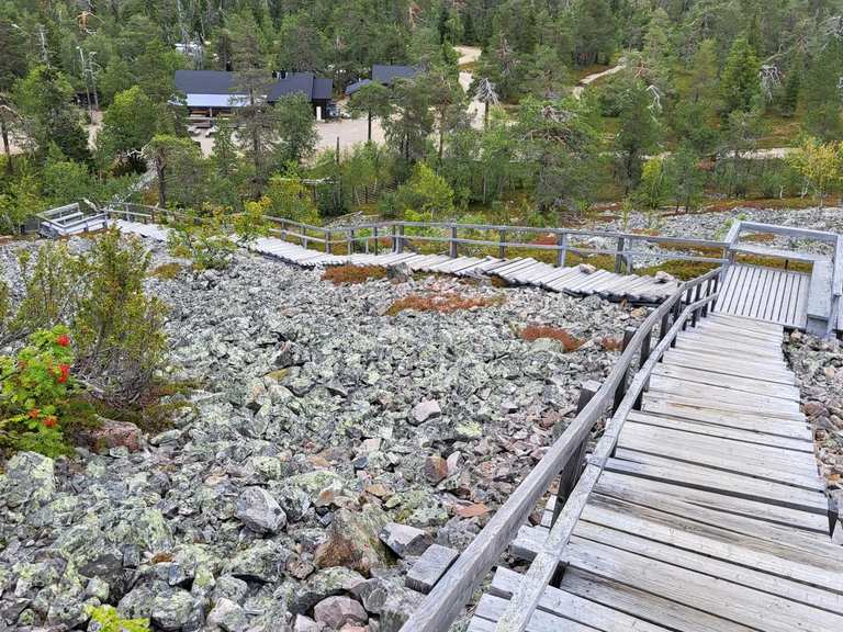 Faire du vélo autour de Ukko-Luosto – Pyhä-Luosto National Park | Tour ...