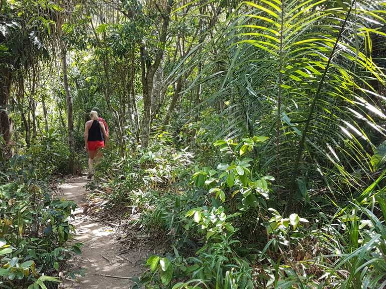 Two Brothers Trail Routes for Walking and Hiking | Komoot