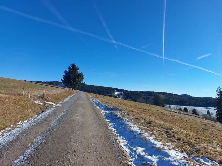 Log swing Routes for Walking and Hiking | Komoot