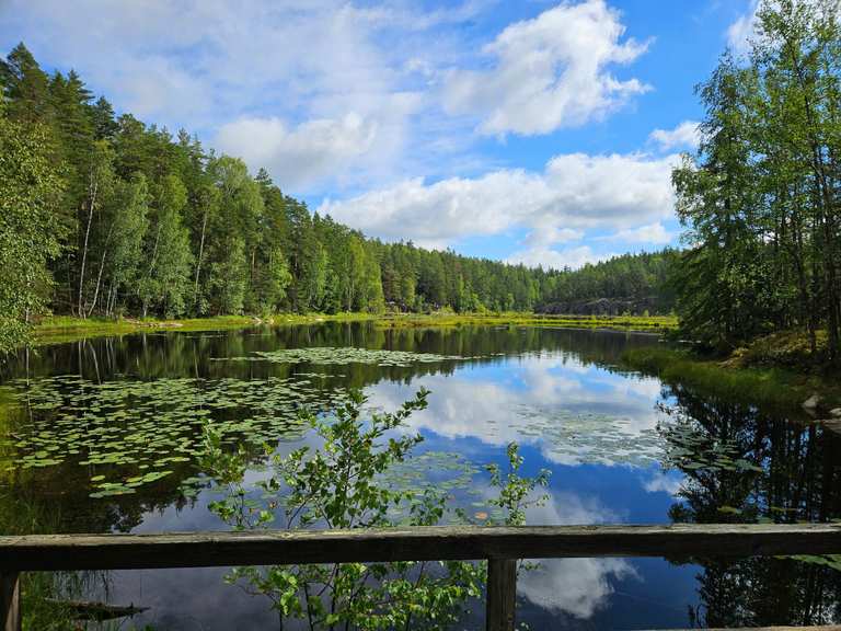 Iso-Holma Wilderness Loop Saarijärvi, Finland | hike | Komoot