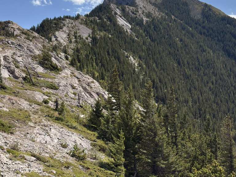 Turtle Mountain Trail — Crowsnest Pass | caminhada | Komoot