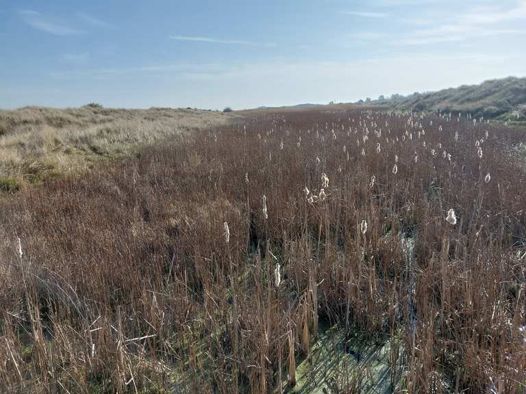 Gronant Dunes Viewing Point Routes for Walking and Hiking | Komoot