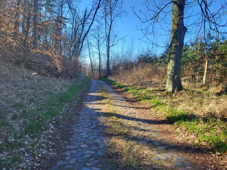 Straße nach Radunia: Radtouren und Radwege | komoot