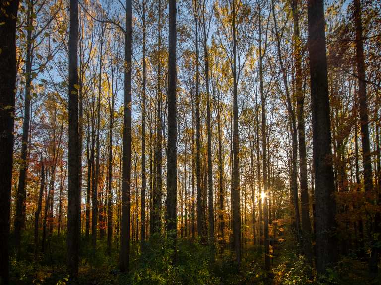 Etappe 4: French Creek State Park zum William Penn State Forest - Horse ...