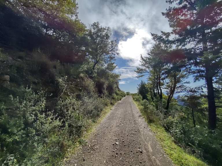 Muir Woods to Mount Tamalpais — Muir Woods National Monument ...