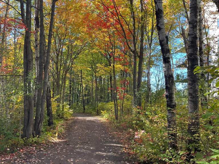 Centennial Park loop — Centennial Park | hike | Komoot