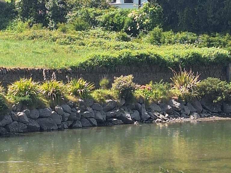 Scenic View Along Cork Greenway Cycle Routes and Map | Komoot
