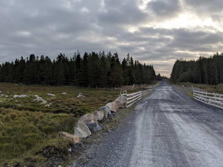 Da Moycullen all'anello della foresta di Cloosh | giro in bici da ...