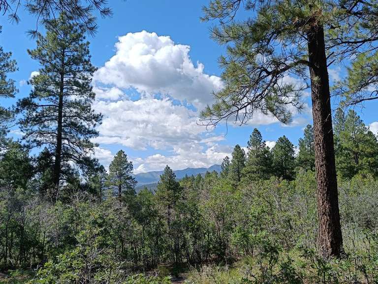 Twin Buttes - Itinéraires de rando et marche | Komoot