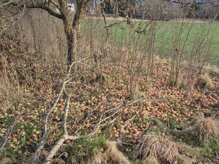 Panneau d'information de Kreuztalstein - Itinéraires de rando et marche ...