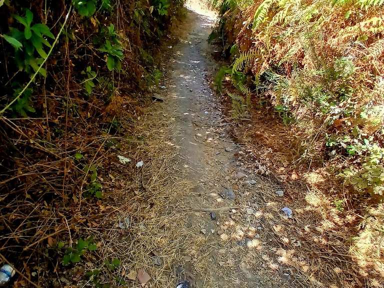 Itinéraire Gravel P1 Viseu - Itinéraires vélo et carte | Komoot