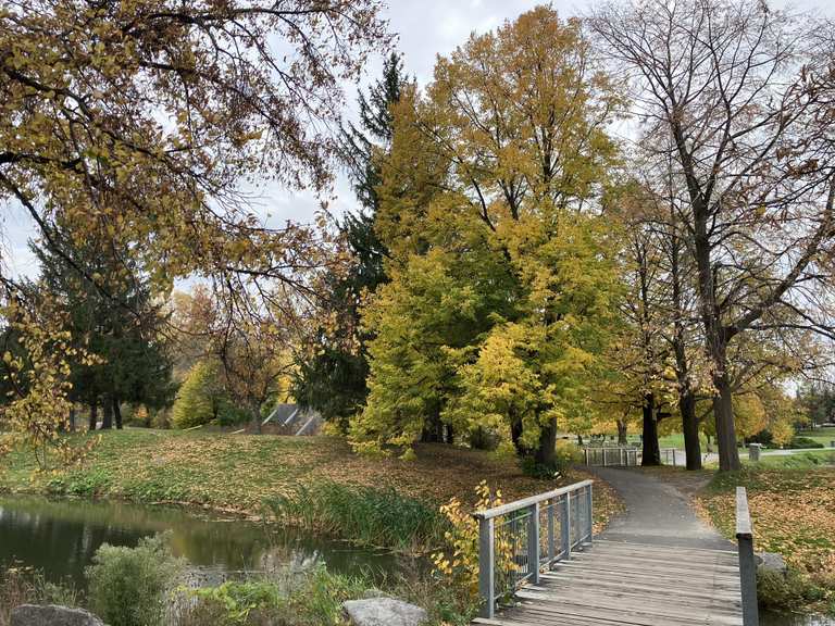 Andrew Haydon Park to Harry Kingston Point — Ottawa | wycieczka piesza ...