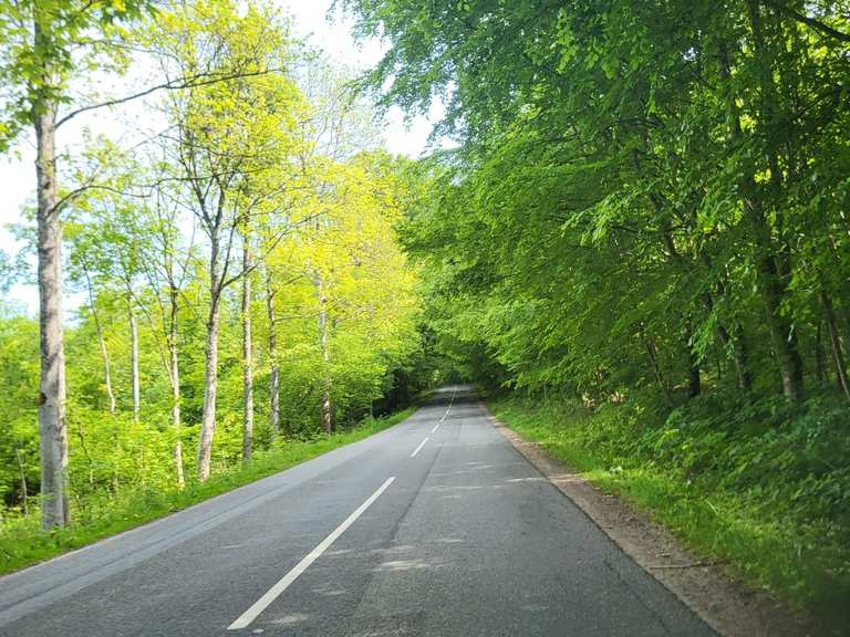 Stage 1: From Sjællands Odde to the Kongskilde Naturcenter - National ...
