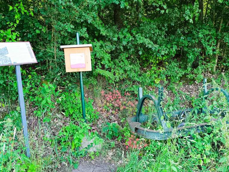 Stamp Station TraumRunde Abtswind - Mountain Bike Trails & Tracks | Komoot