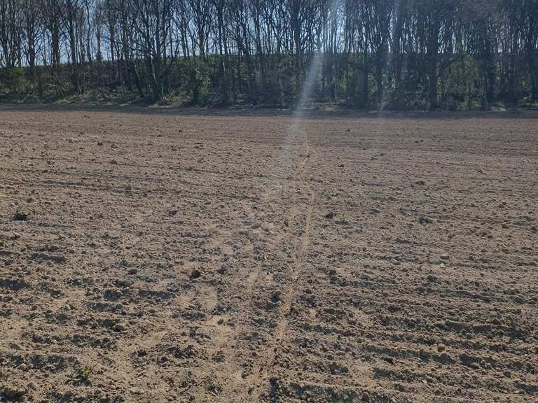 Ploughed Field Crossing on Trans Pennine Trail - Mountain Bike Trails ...