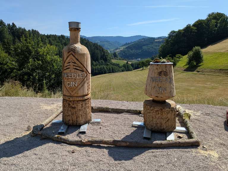 Needle Gin Path | hike | Komoot