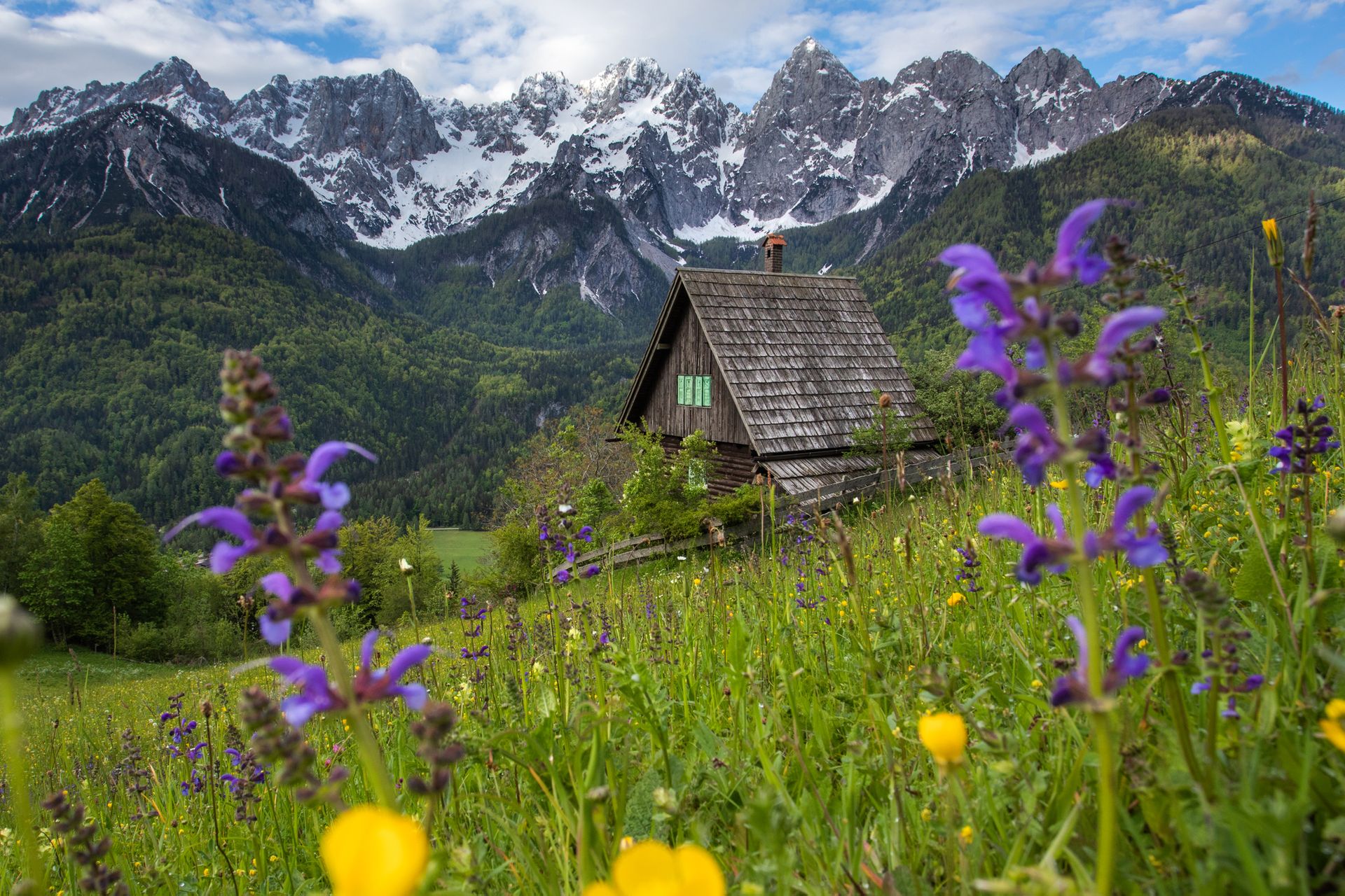 Einzigartig abgeschieden – Fernwandern auf dem Juliana Trail | Wander ...