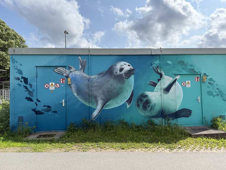 Seal Mural by Ahoigraffiti Kiel Routes for Walking and Hiking | Komoot