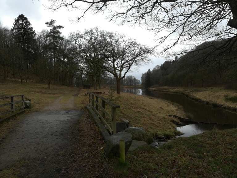 Vester Kejlstrup Plantage: Wanderungen und Rundwege | komoot