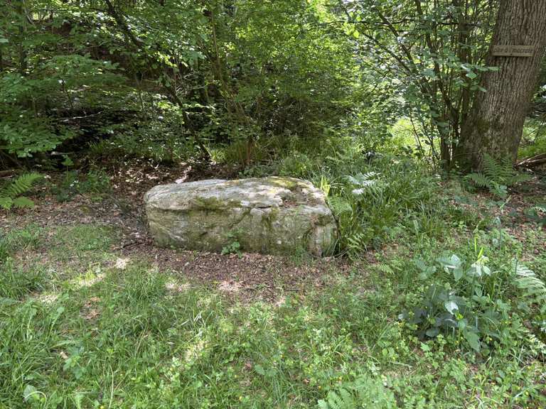 Pîre à l’Macrale (Witch's Stone) Routes for Walking and Hiking | Komoot