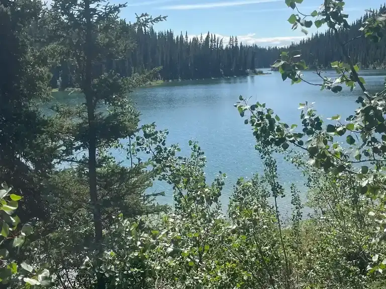 Hospital Ridge Trail & Long Lake Trail loop — Whitehorse | caminhada ...
