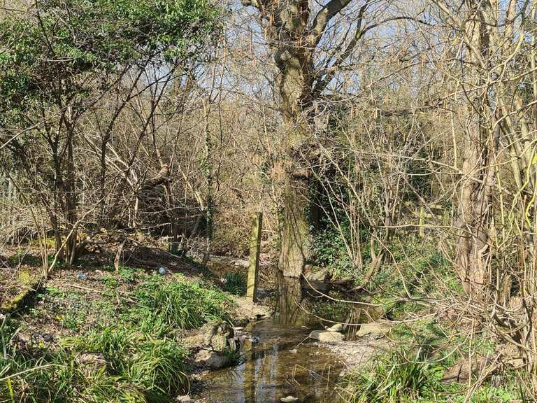 Hartsbourne Woodland Rail Tunnel and Stream Cycle Routes and Map | Komoot