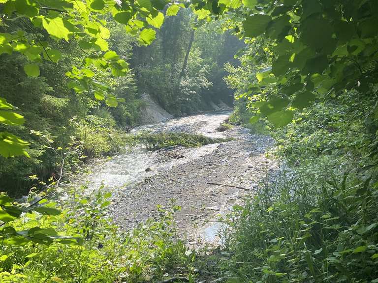 Río Sava en el Alto Valle del Sava: Rutas de senderismo y caminatas ...