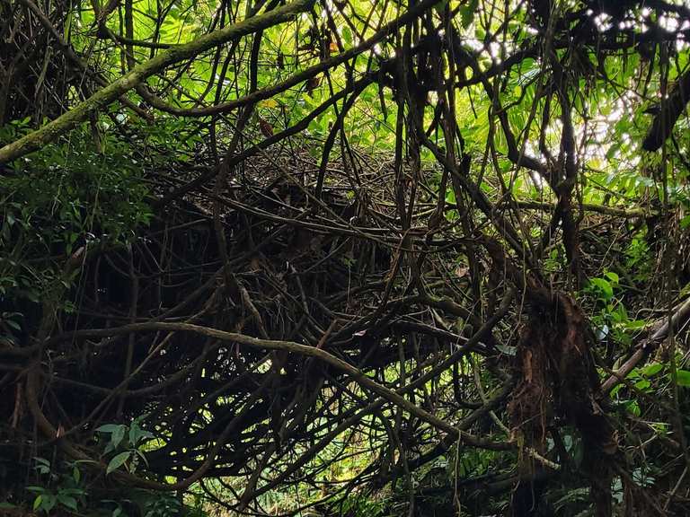 Gilpin Trail - Routes for Walking and Hiking | Komoot