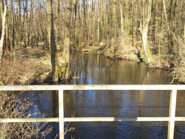 Réservoir de Kiehnmoor - Itinéraires vélo et carte | Komoot