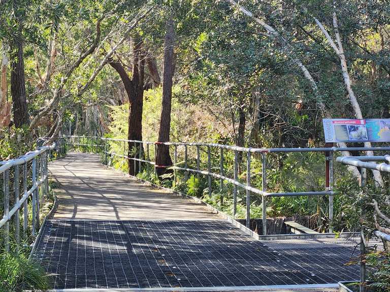 Fernleigh Track - Routes for Walking and Hiking | Komoot
